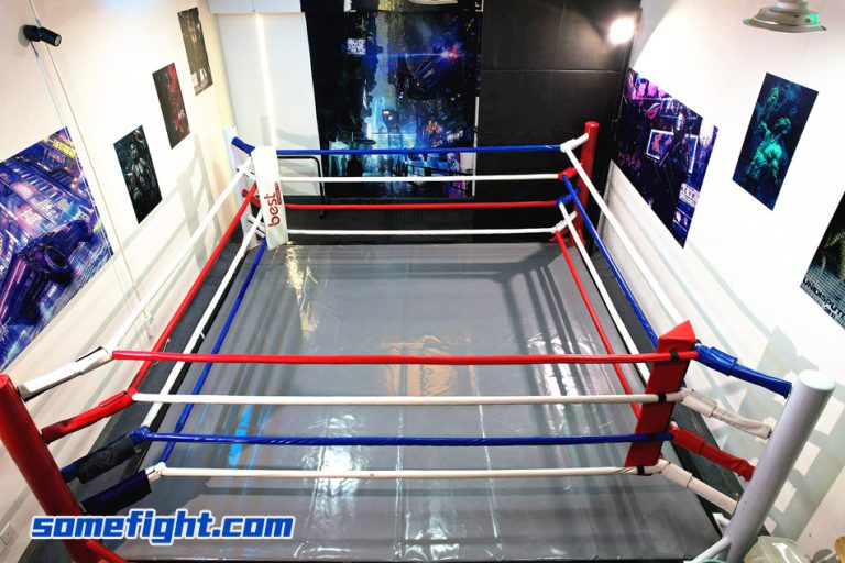 擂台 Arena – somefight – 尚之格斗