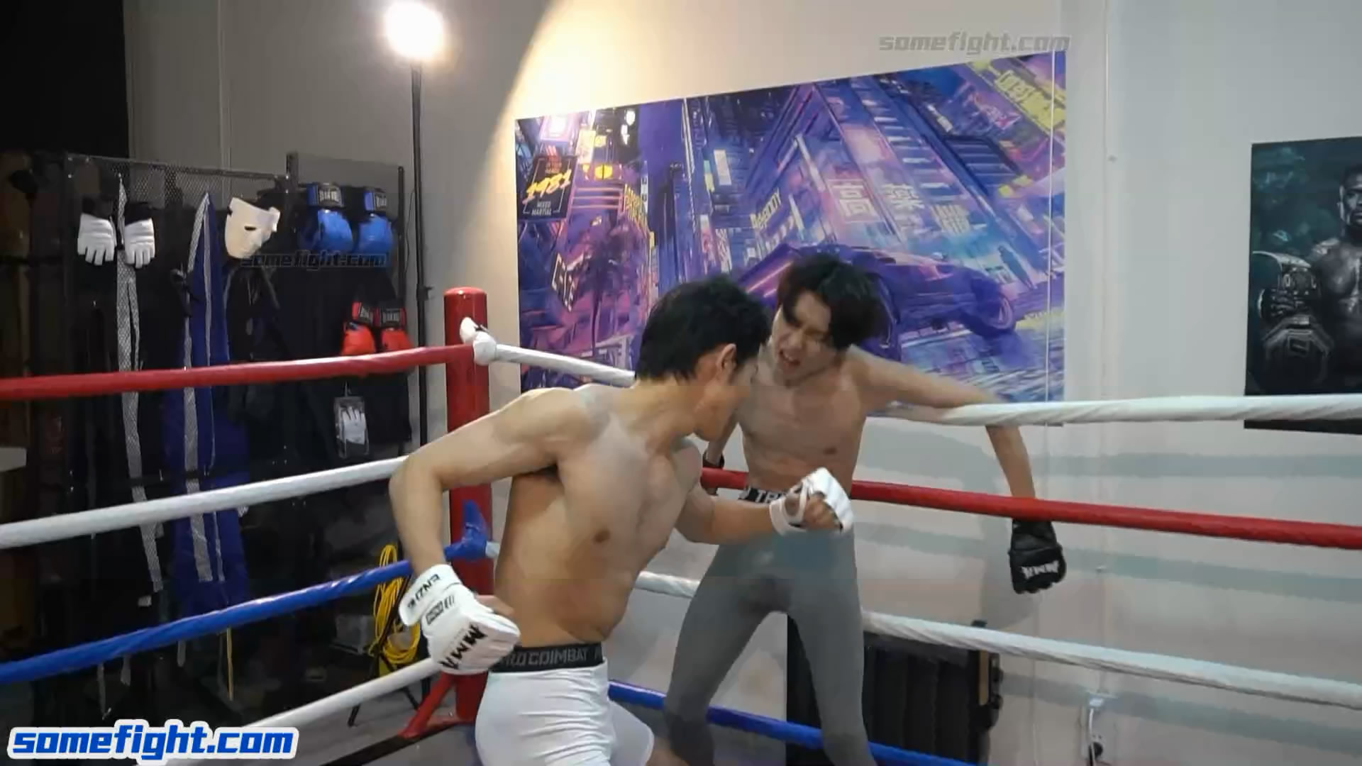 somefight – 中文男性格斗