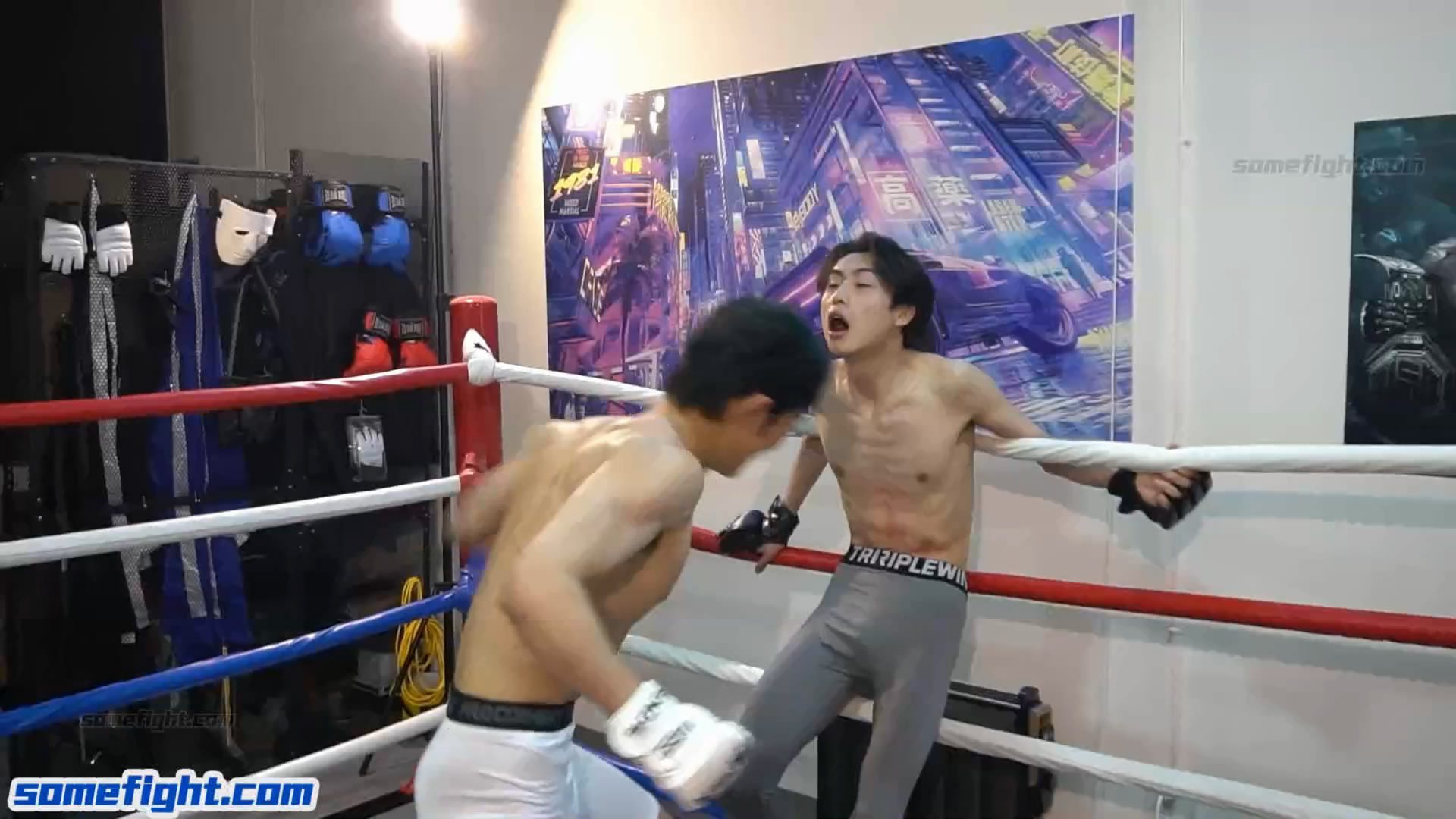 somefight – 中文男性格斗
